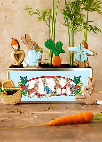 Biscuiteers Peter Rabbit Vanilla Hand-Iced Biscuit Tin 160g | Grattan