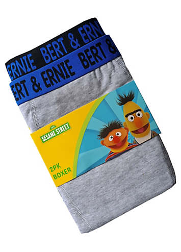 Sesame Street Mens Bert & Ernie 2Pk Boxer Short | Grattan