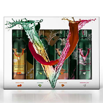 V Gallery Premium Vodka 4 x 5cl Miniature Spirits Gift Set by V Gallery ...