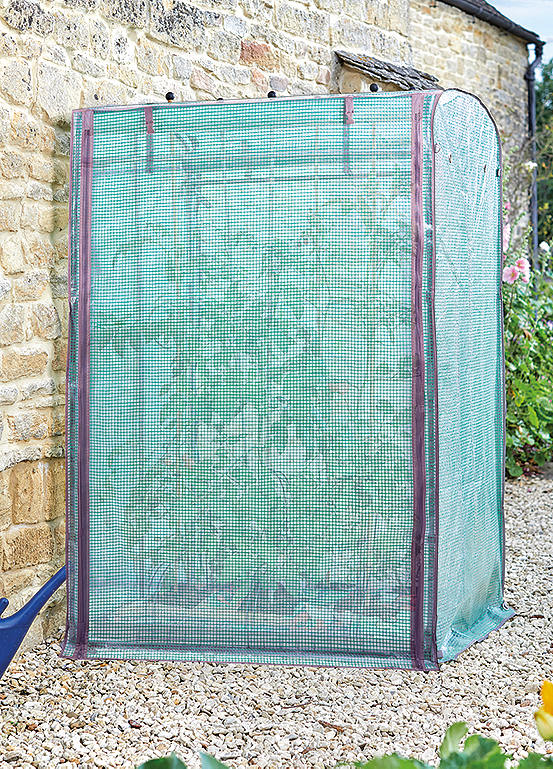 Tomato GroZone Max - Double Sided | Grattan