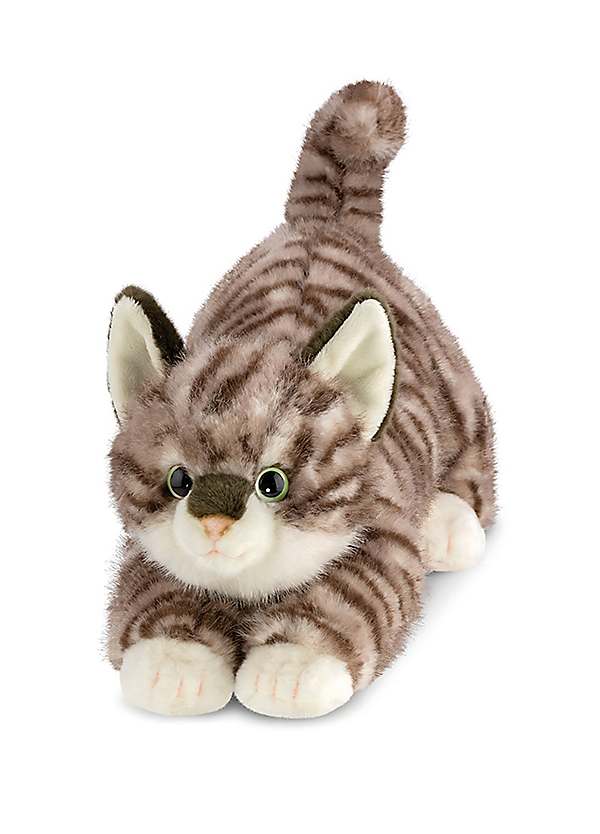 Aurora cat stuffed animal store