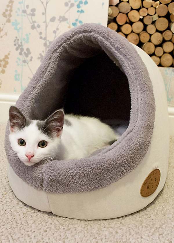 Igloo Cat House Dream Paws Banbury & Co Cat Bed | Grattan