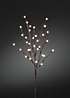 1m Brown Firefly Twig Tree | Grattan