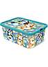 Bluey Set Of 3 Bluey Storage Boxes | Grattan