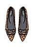 Clarks Leopard Sensa15 Strap Shoes | Grattan