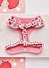 Cocopup Pupberry Fields Dog Harness | Grattan