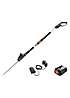 Flymo UltraCut Reach 420 18V Telescopic Cordless Hedge Trimmer with 2 ...