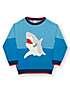 Kite Shark Jumper | Grattan