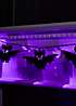Lights4Fun Lights 4 Fun 10 Wooden Bat Halloween Fairy Lights | Grattan