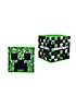 Minecraft Survival Pack of 2 Storage Boxes | Grattan