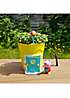 Peppa Pig Grow & Play Flower Pot - Peppa Pig | Grattan