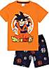 Vanilla Underground Dragon Ball Z Unisex Kids Orange Short Sleeve Short ...